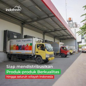 Indofresh - Distributor Buah & Sayur Import dan Lokal
