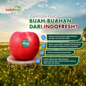 Indofresh - Distributor Buah & Sayur Import dan Lokal