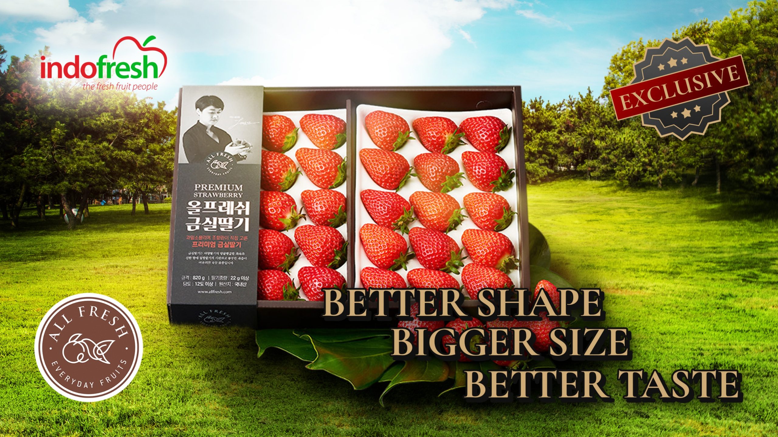 Indofresh - Distributor Buah & Sayur Import dan Lokal